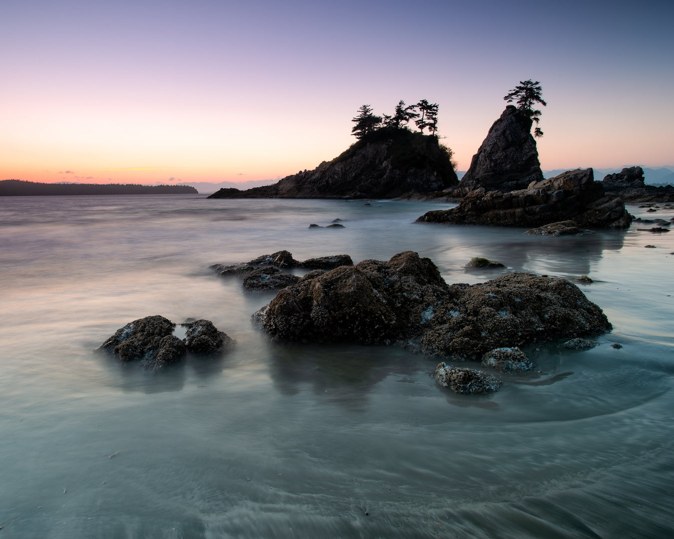 Outer Coast Adventure: Bamfield & Friendly Cove | August 12 - 16, 2026 ...
