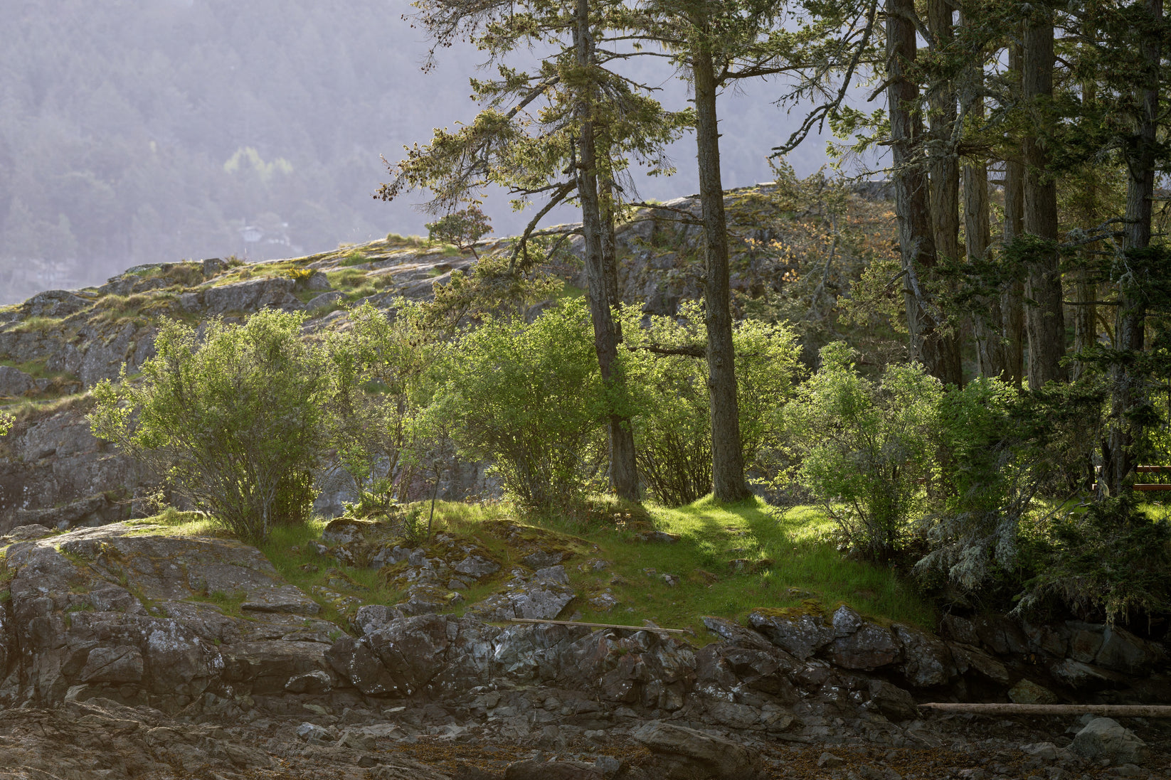 Explore Salt Spring Island | May 11 - 14, 2026 | Activity Level 3 ...
